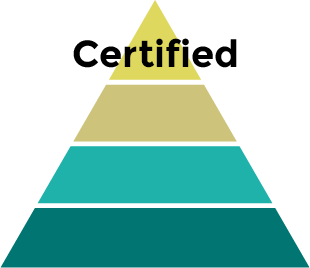 SP Certification Completed Archives - Sensorimotor Psychotherapy Institute