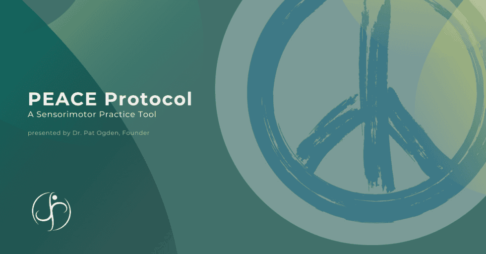 Sensorimotor Practices - Sensorimotor Psychotherapy Institute